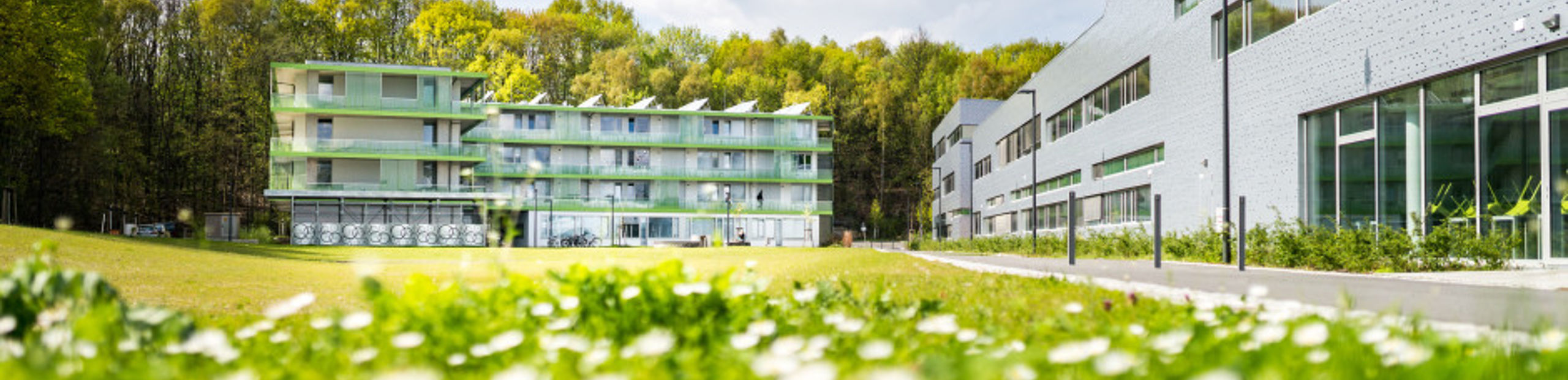 News - Aktuelles aus der TH Wildau