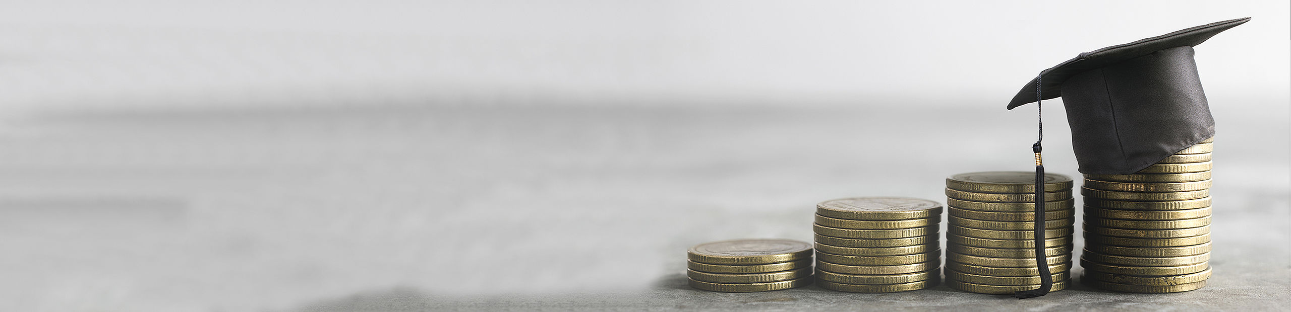 Deutschlandstipendium - Wir unterstützen Sie darin, Ihre berufliche ...