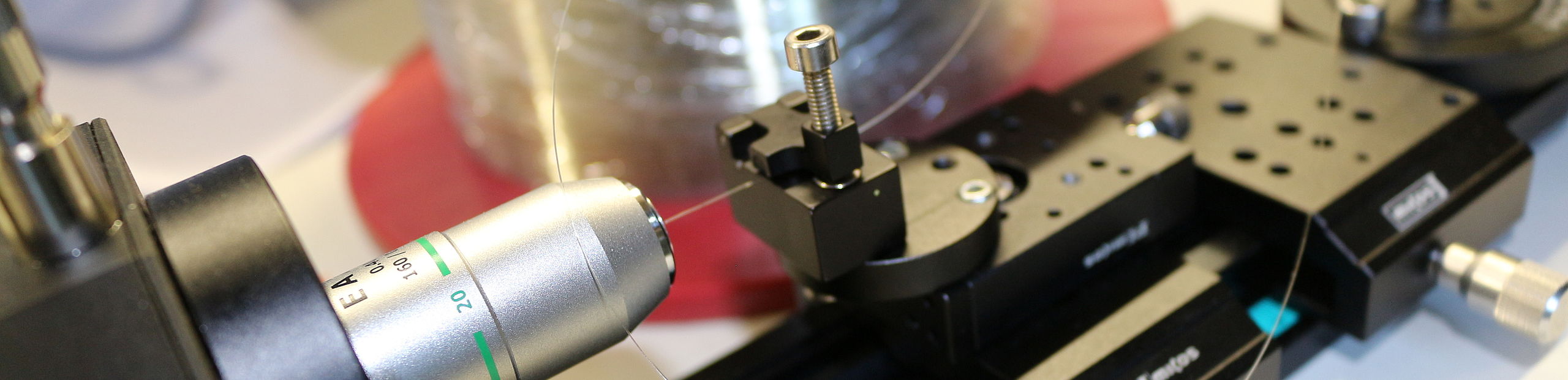 Photonik und optische Technologien - Die Vielfalt der fachlichen ...